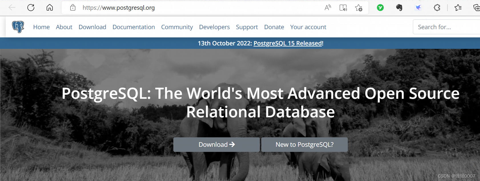 postgresql使用入门教程_pg数据库使用教程-CSDN博客