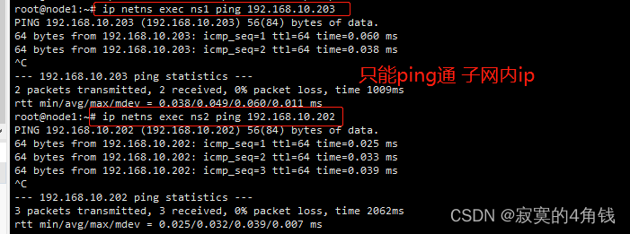 linux network namespace 模拟docker的网络隔离访问外网_linux名称空间怎么访问外部网络-CSDN博客