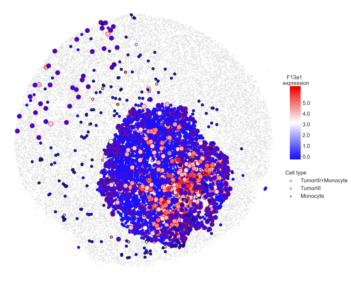 空间邻域分析导论（CellNeighborEX）-CSDN博客