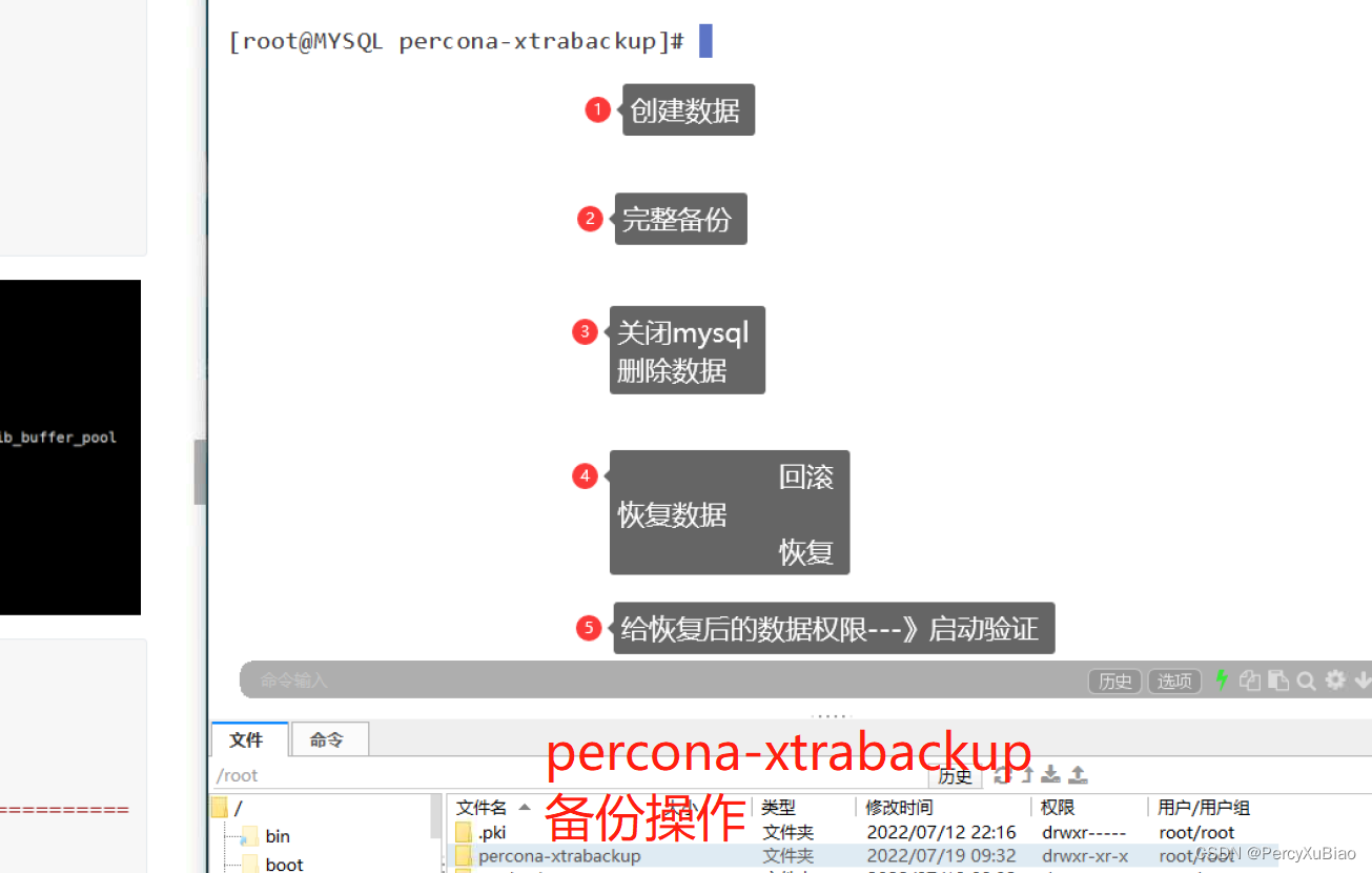 mysql - percona-xtrabackup 物理备份_percona-release-CSDN博客