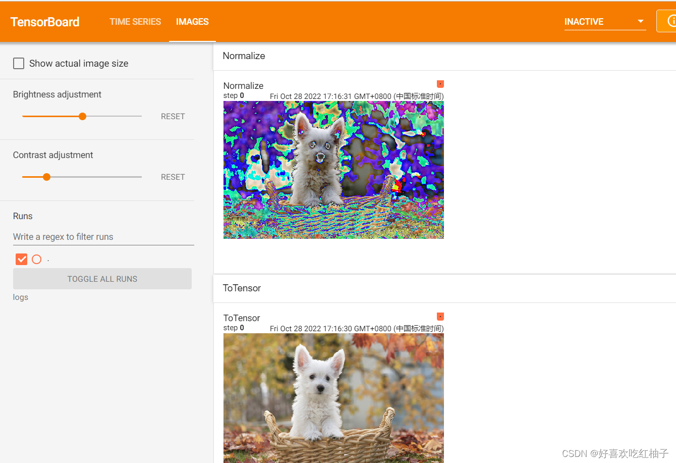 pytorch初学笔记（四）：常见的Transforms使用（ToTensor、Normalize、Resize、Compose、RandomCrop）-CSDN博客