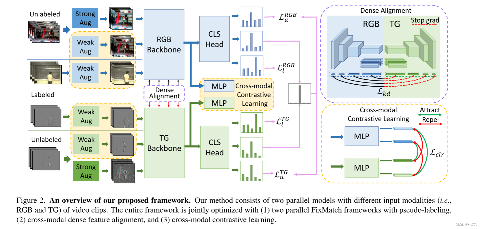Learning from Temporal Gradient for Semi-supervised Action Recognition-CSDN博客