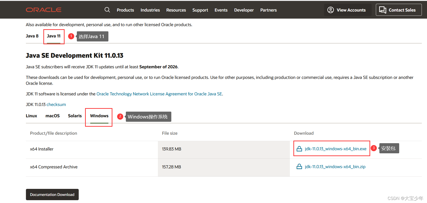 Windows安装Java 11_java11.0.13-CSDN博客