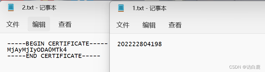 kali/windows/burpsuite/Python下计算md5，sha1，sha256，base64的值_kali md5解密-CSDN博客
