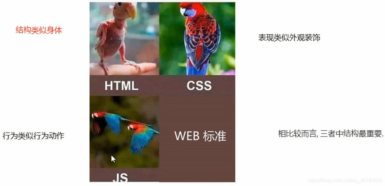 网页与web标准 Csdn博客
