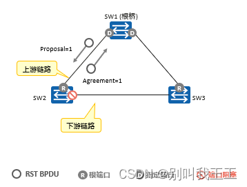 RSTP详解：对比STP，到底改进了什么？-CSDN博客