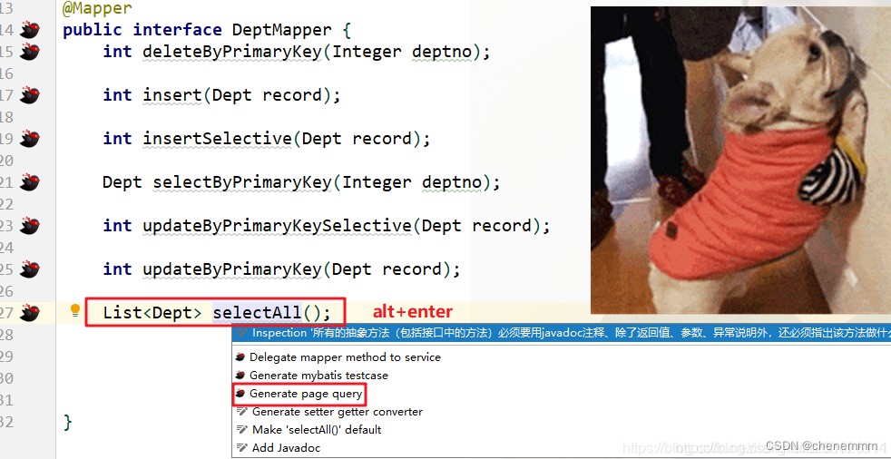 idea插件MyBatisCodeHelper Pro免费使用，及使用技巧_mybatiscodehelperpro多少钱-CSDN博客