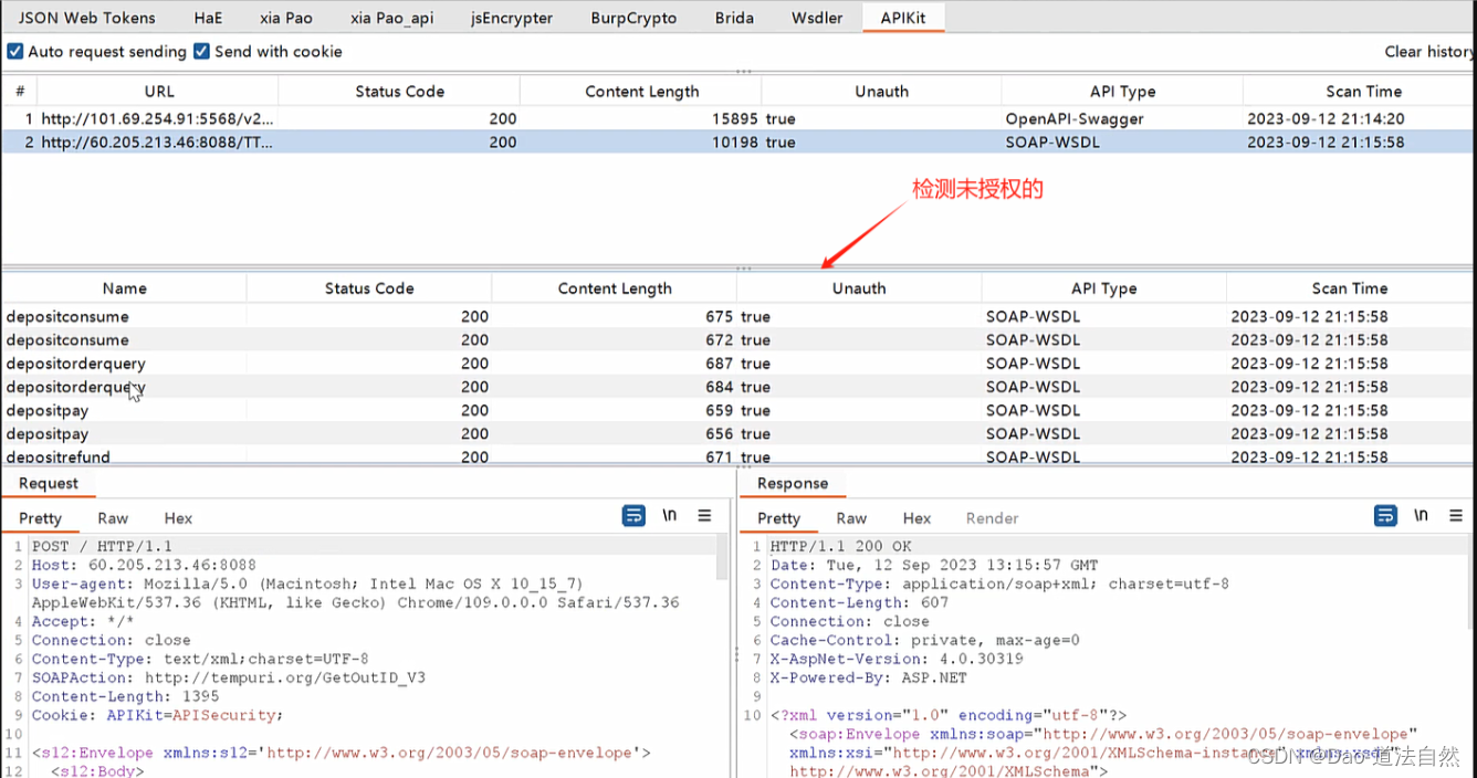 Day91：API攻防-接口安全&SOAP&OpenAPI&RESTful&分类特征导入&项目联动检测_api接口安全检测-CSDN博客