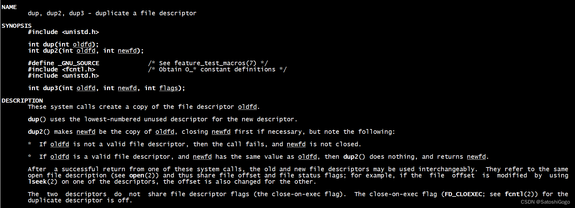 Linux系统编程之系统调用IO_linux io调试-CSDN博客
