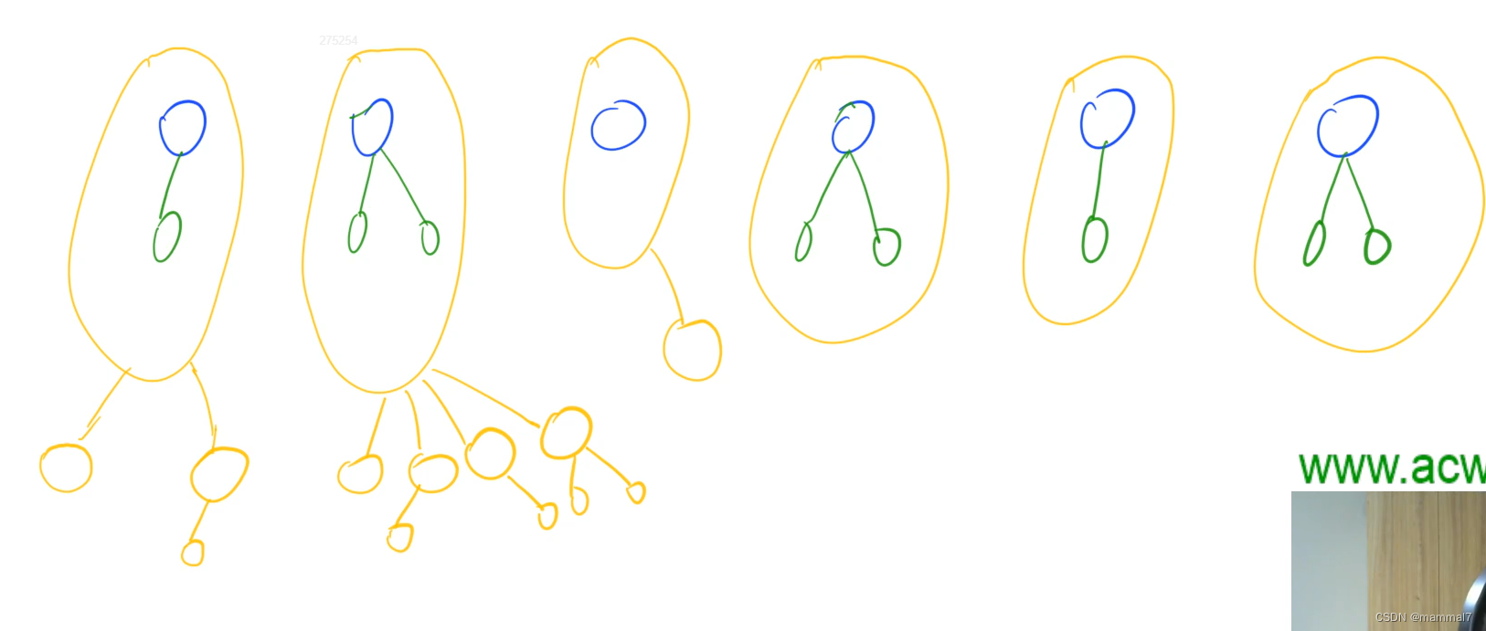 Acwing算法提高课-CSDN博客