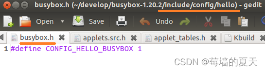 linux busybox详解-CSDN博客