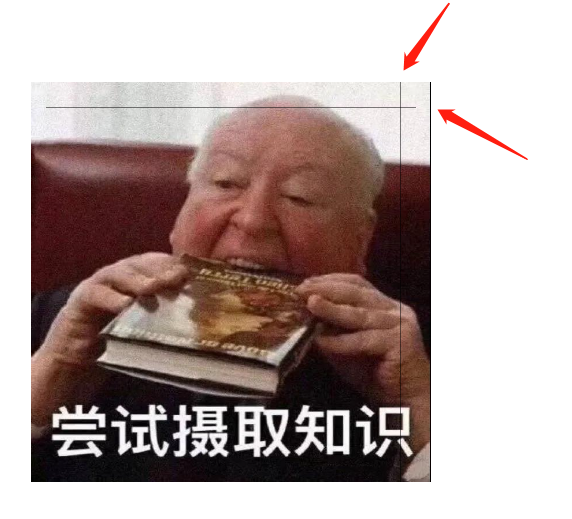 Annotorious入门教程：图片注释工具-CSDN博客