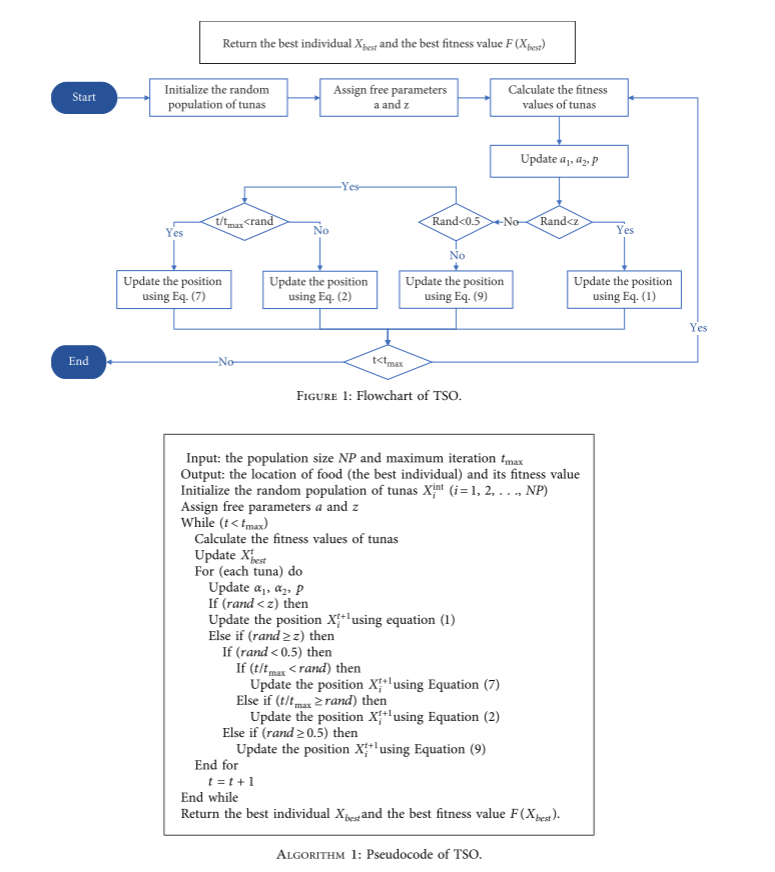 【智能优化算法】金枪鱼群优化（Tuna Swarm Optimization,TSO）_金枪鱼群优化算法-CSDN博客