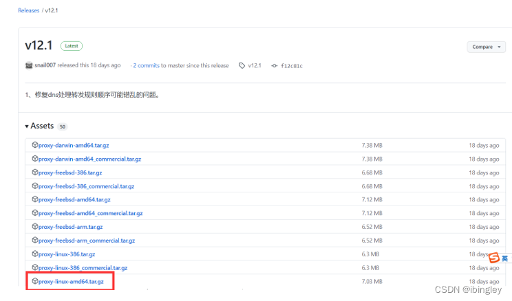 proxy代理配置 goproxy 代理配置_goproxy代理配置-CSDN博客