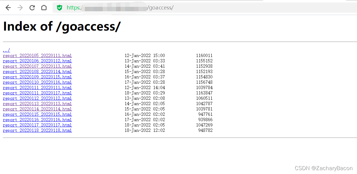 shell脚本自动使用goaccess统计Nginx日志生成html文件_goaccess怎么生成html-CSDN博客