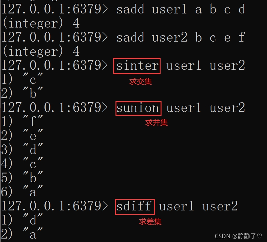Redis | Redis基本数据类型命令---Set集合、SortSet集合-CSDN博客