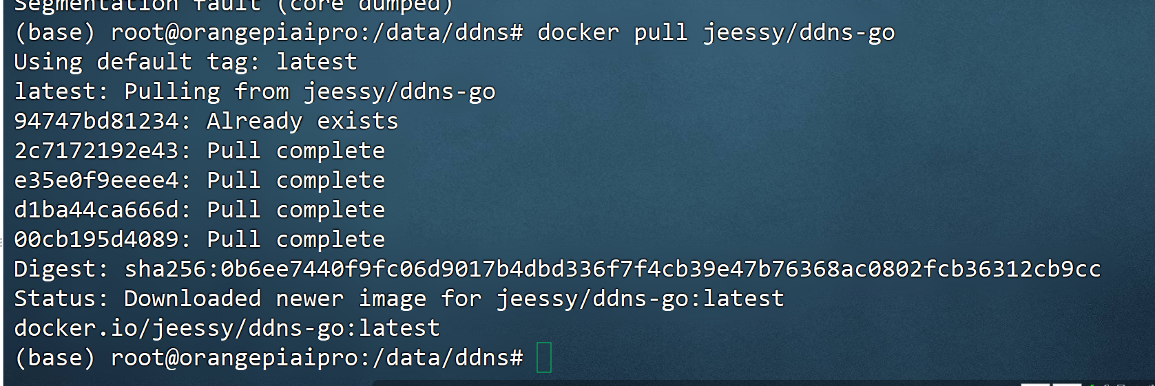 家宽动态公网IP，使用docker+ddns 实现动态域名解析_docker ddns-CSDN博客