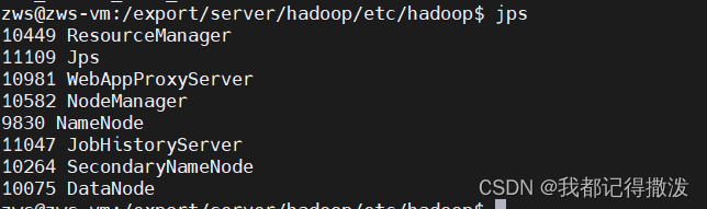 ubuntu配置hadoop，HDFS和YARN（单机）_ubuntu安装hdfs-CSDN博客