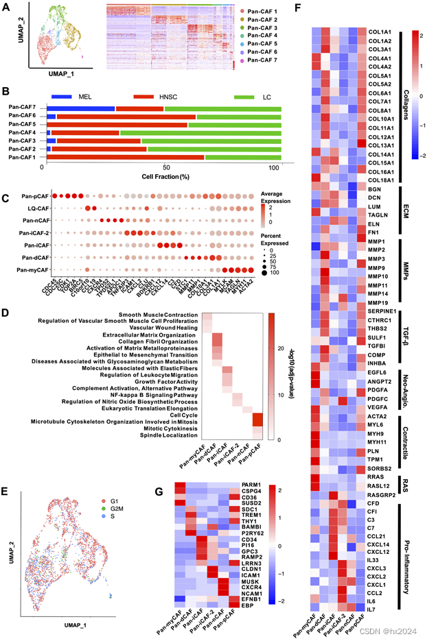 肿瘤相关成纤维细胞分型及单细胞深入研究（文献）_pancaf-CSDN博客
