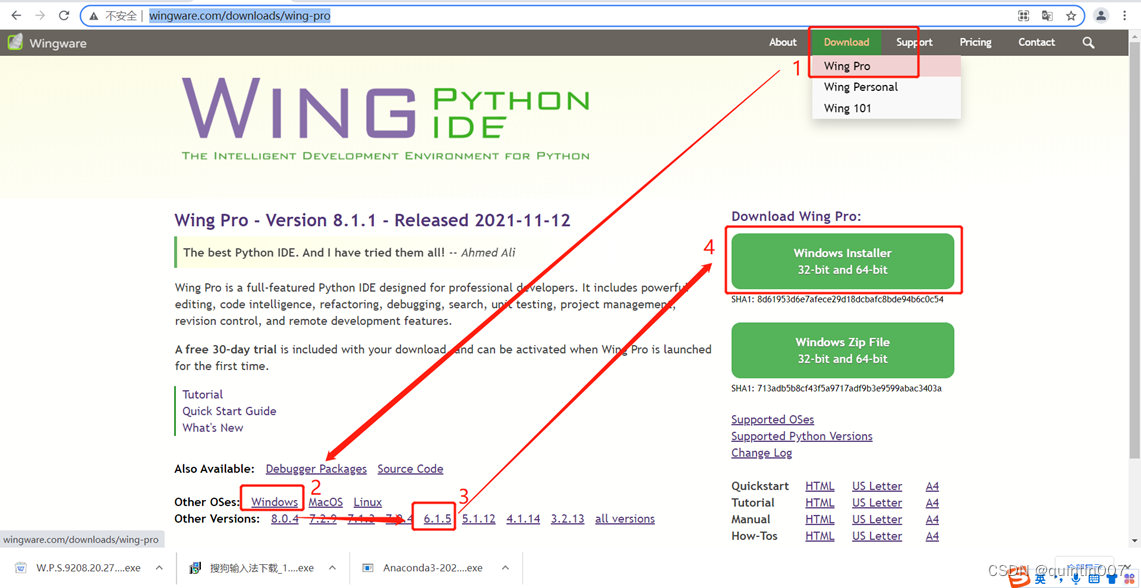 WingIDE安装教程-CSDN博客