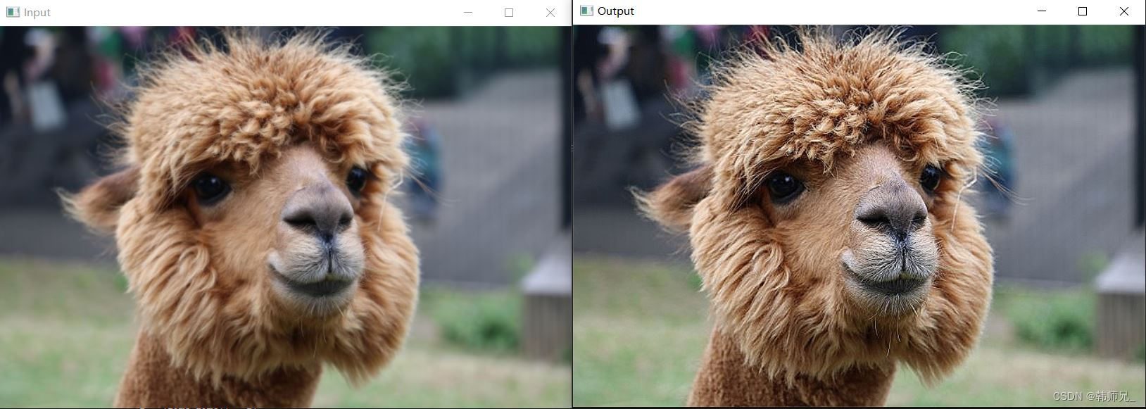 003 OpenCV filter2D-CSDN博客