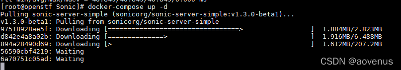 一站式开源分布式集群云真机测试平台Sonic——基于Docker方式部署sonic前后端（体验版）_sonic docker-CSDN博客
