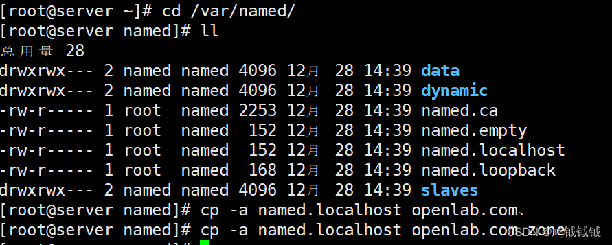Linux部署DNS服务的正反向解析_linux dns正反向解析配置-CSDN博客