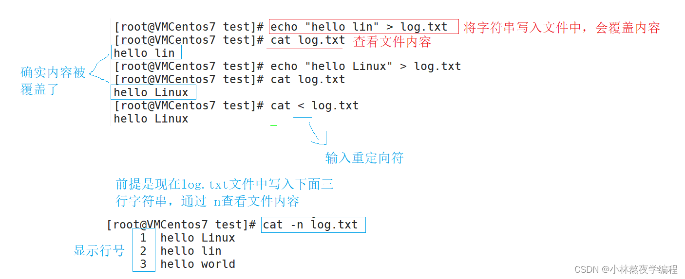 【linux系统编程】第四弹 基本指令二echo 指令 Csdn博客