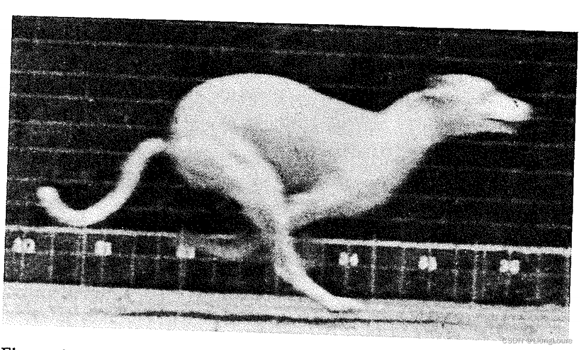 [足式机器人]Part1 双足和四足的运动Ch04——【Legged Robots that Balance 读书笔记】_什么是虚拟弹簧腿-CSDN博客