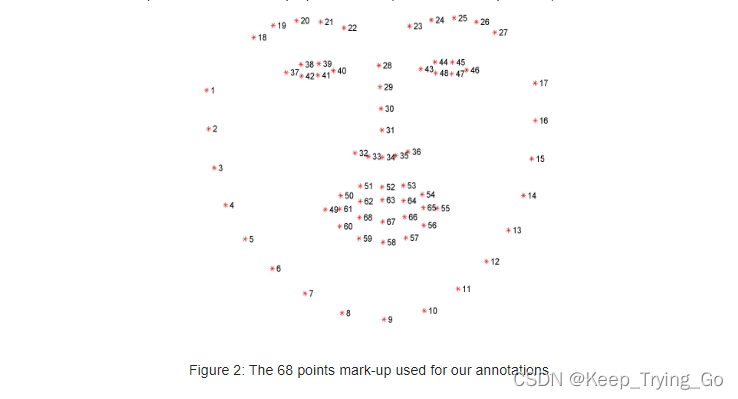 Dlib库实现人脸关键点检测（Opencv实现）_dlib库采用68点位置标志人脸重要部位-CSDN博客