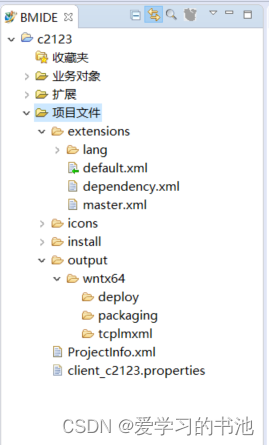 学习有关BMIDE的知识——BMIDE工作坊（1）-CSDN博客