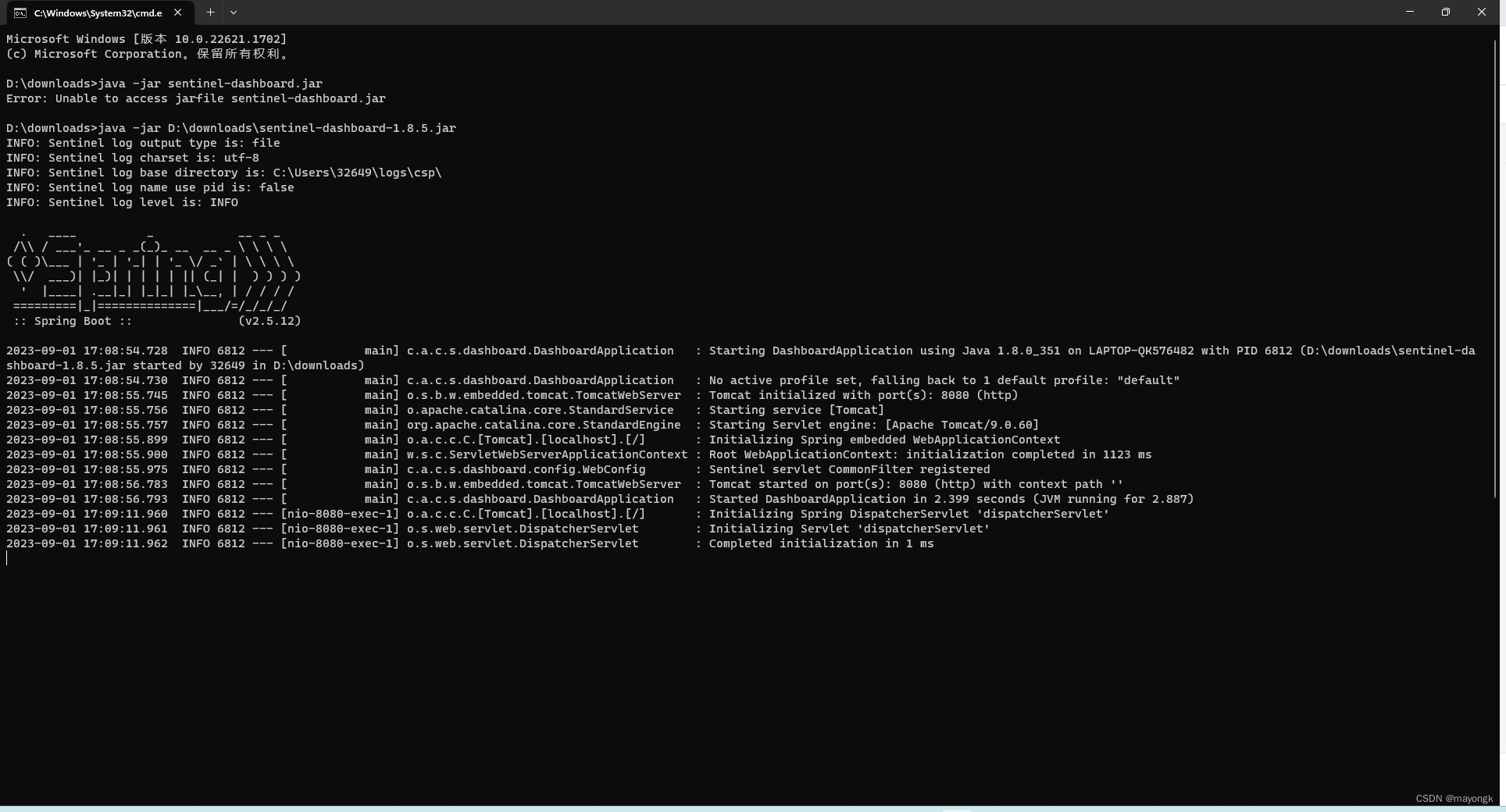 spring boot sentinel控制限流_springboot sentinel限流配置-CSDN博客