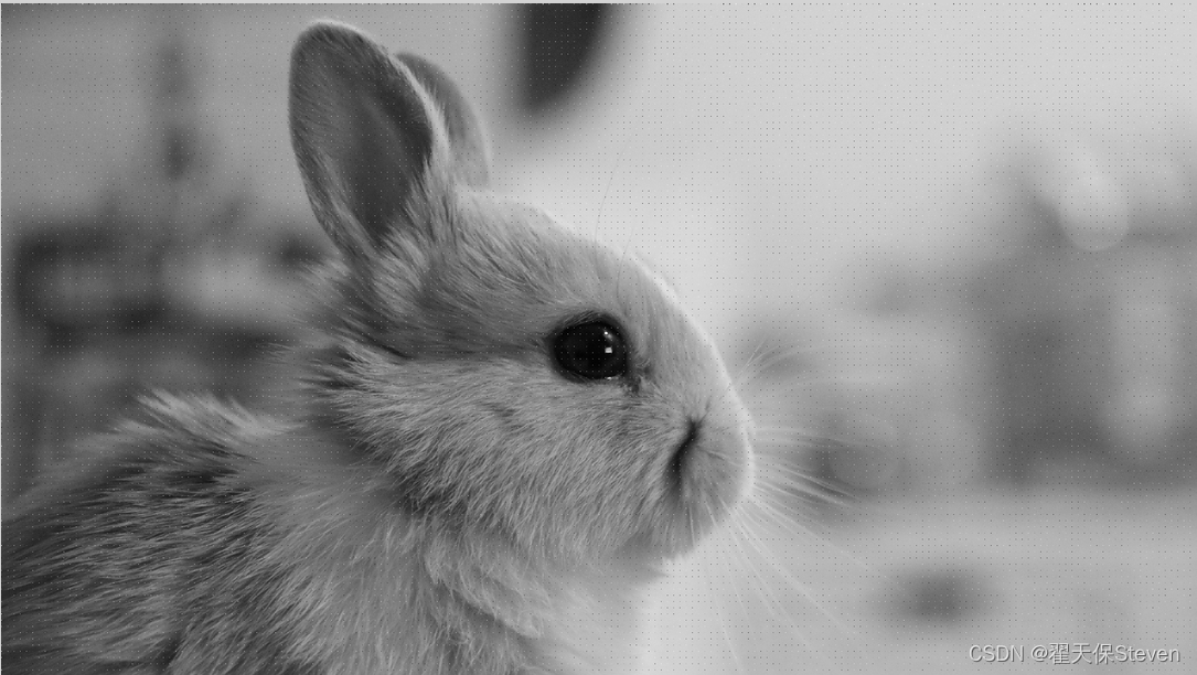 OpenCV-AMF算法(自适应中值滤波Adaptive Median Filtering)-CSDN博客