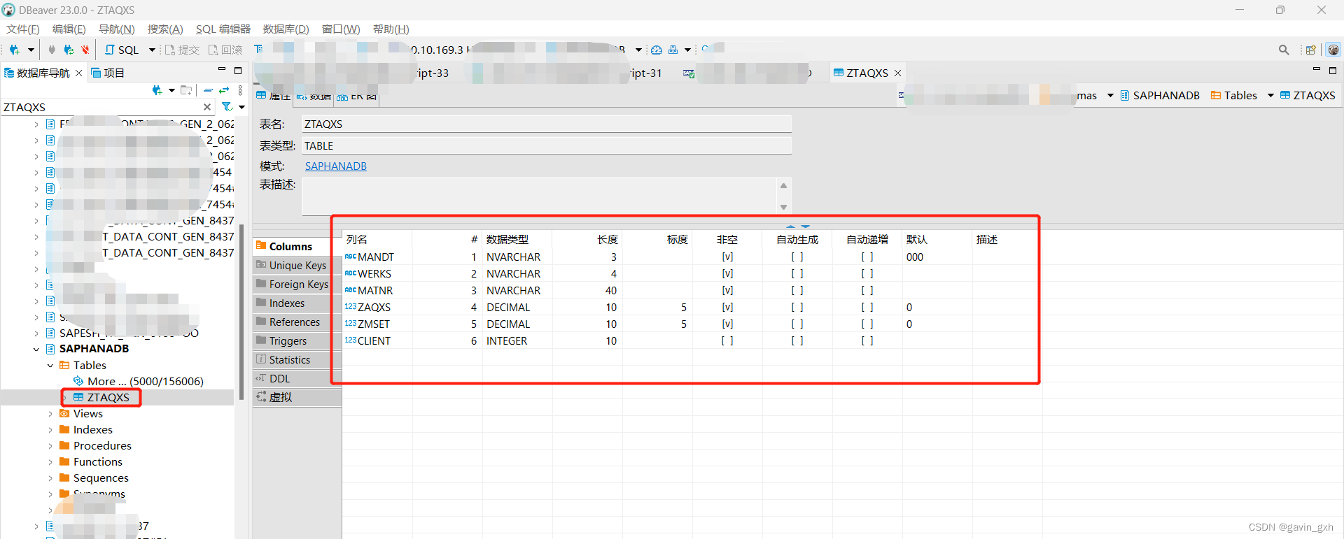 Dbeaver 往s4 HANA自建表 导入数据_dbeaver下sap hana 数据导入-CSDN博客