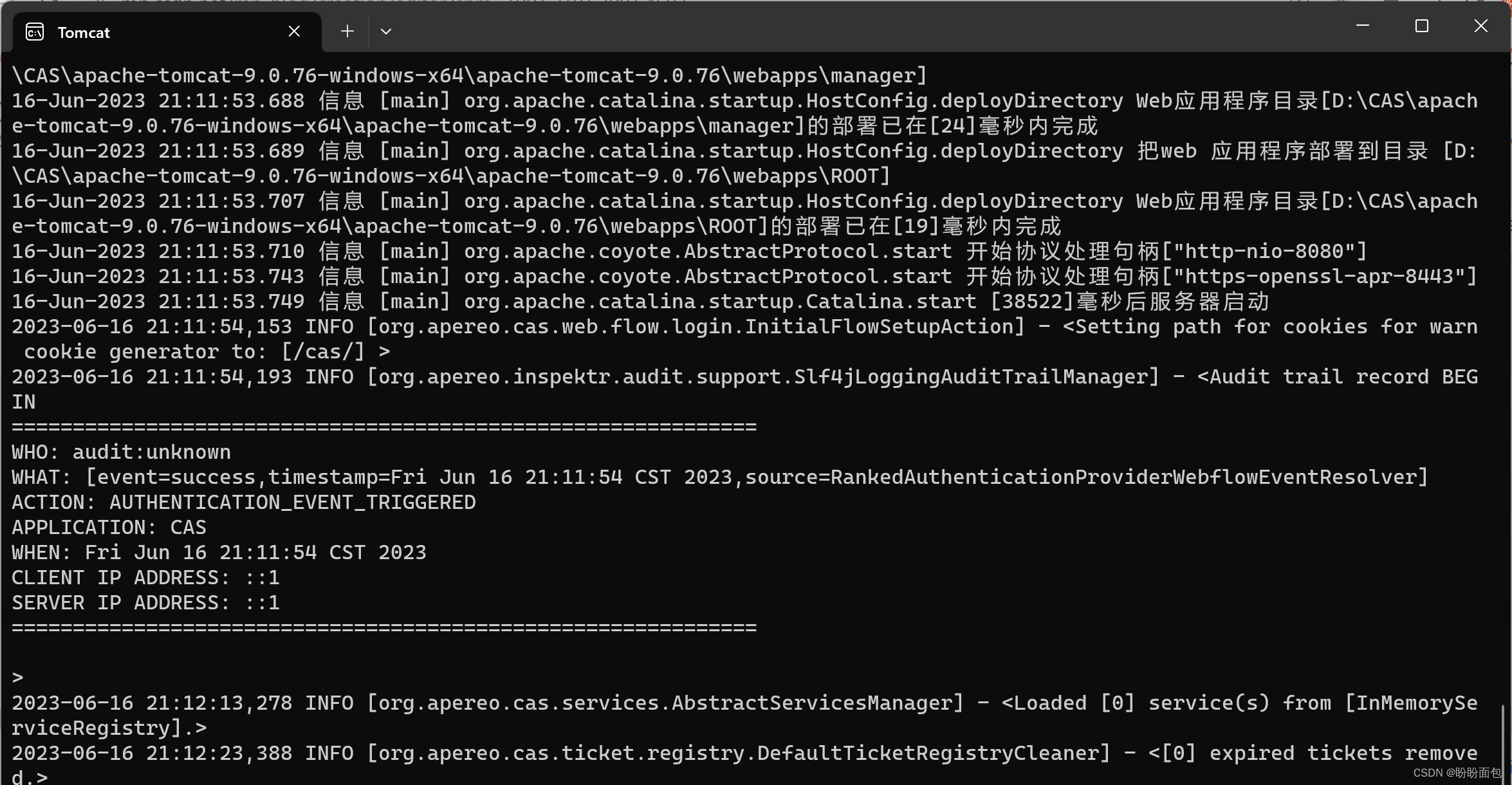 实战springboot+CAS单点登录系统_springboot整合cas单点登录-CSDN博客