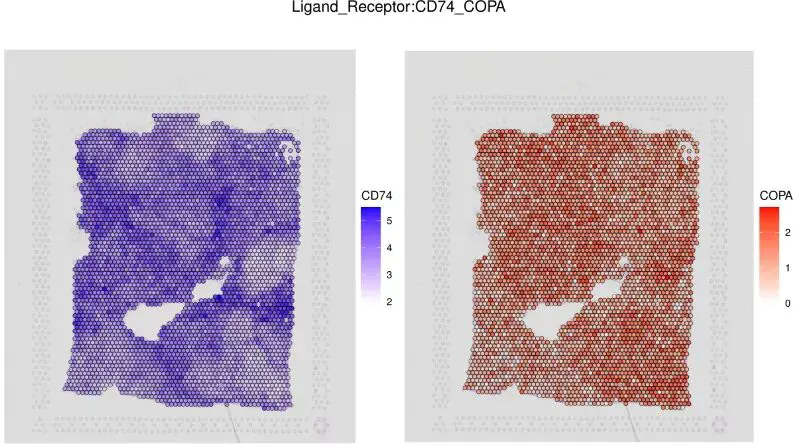空间通讯分析章节2_spatialdimplot如何展示cellphonedb中受配体对的空间表达-CSDN博客