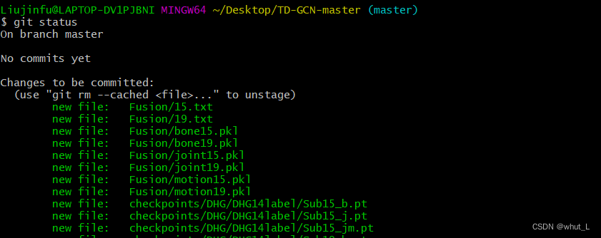 Git笔记--Win11上传本地项目到github_win11 github-CSDN博客