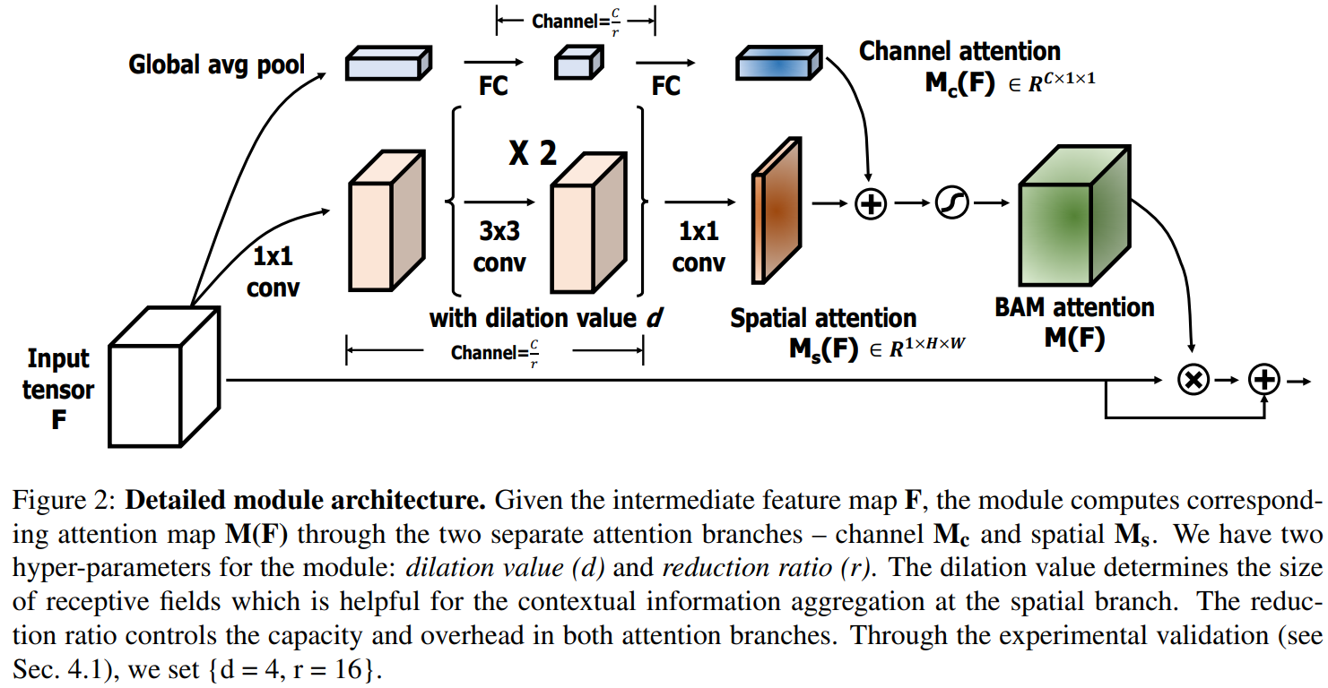 YoloV8改进策略：BAM瓶颈注意力模块|BAM详解以及代码注释|CBAM姊妹篇|有效涨点_bam(bottleneck attention module)-CSDN博客
