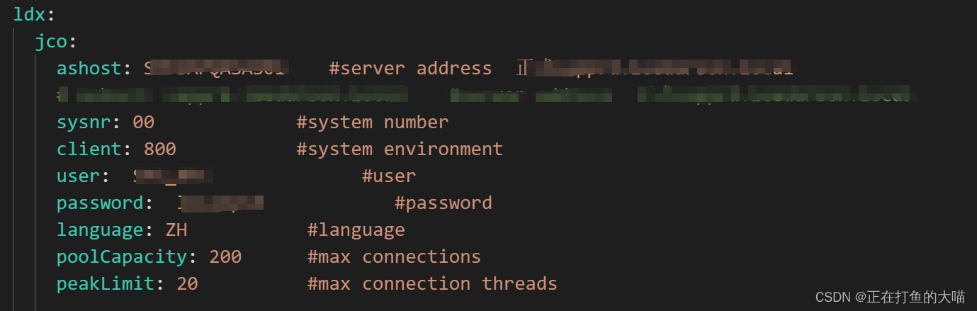 Java使用Jco连接SAP操作详解_sap jco-CSDN博客