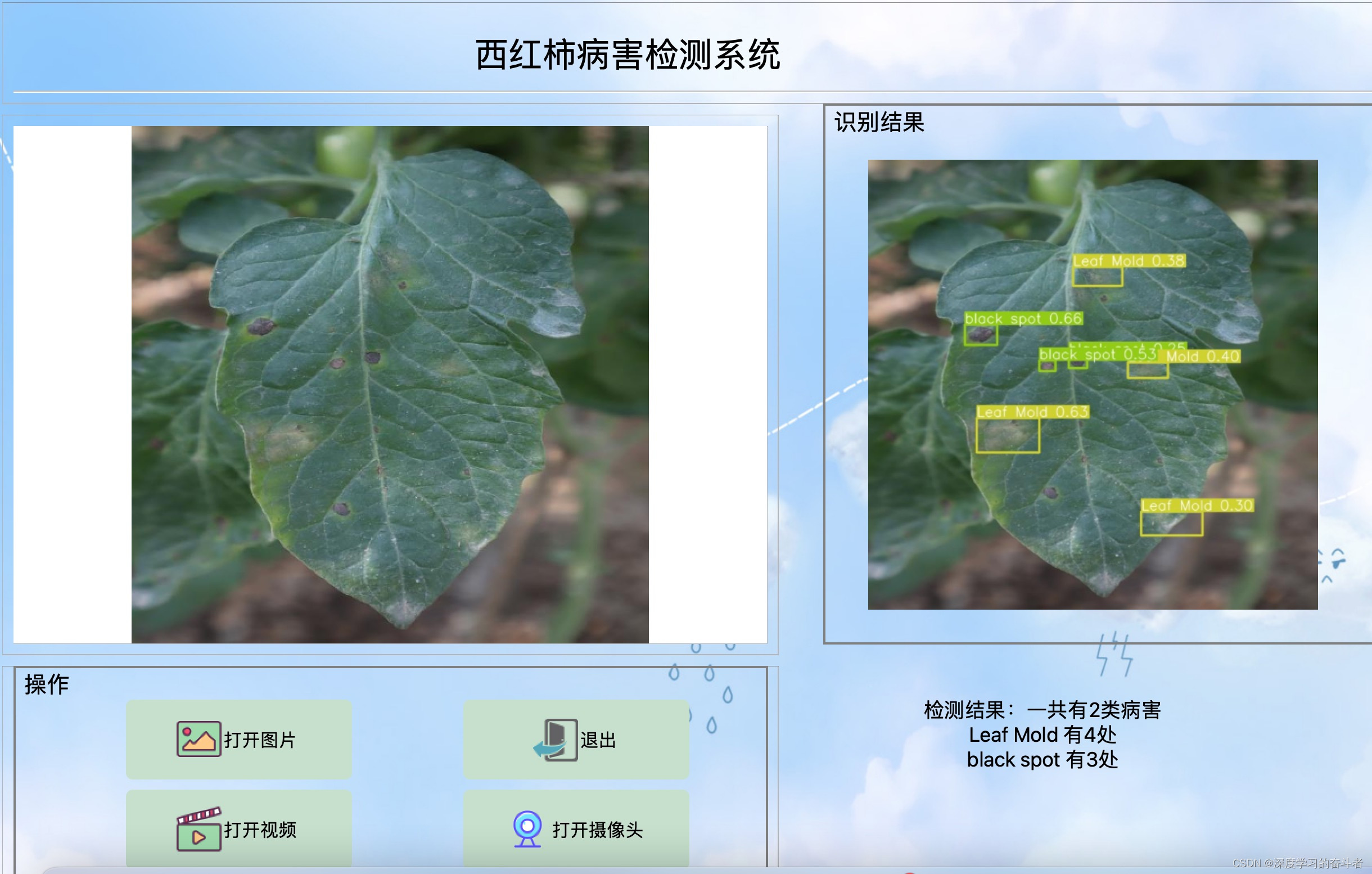 西红柿叶病害检测（yolov8模型，从图像、视频和摄像头三种路径识别检测，包含登陆页面、注册页面和检测页面）early Blight 风险检测 Csdn博客 