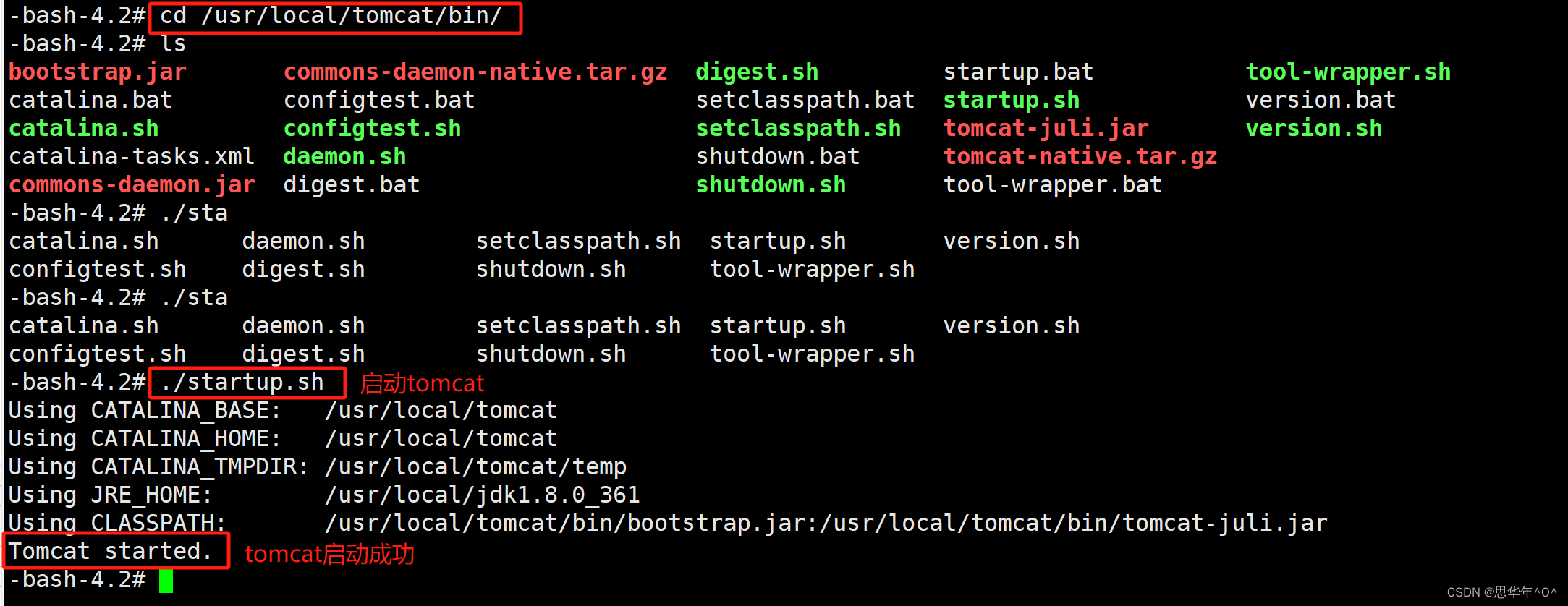 实操nginx(七层代理)tomcat多实例部署,实现负载均衡和动静分离nginx Tomcat Csdn博客