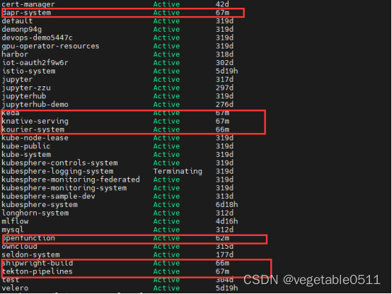OpenFunction学习记录_01-CSDN博客