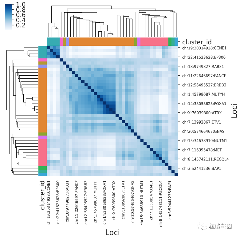 Topic 4. 克隆进化之 Pyclone-CSDN博客