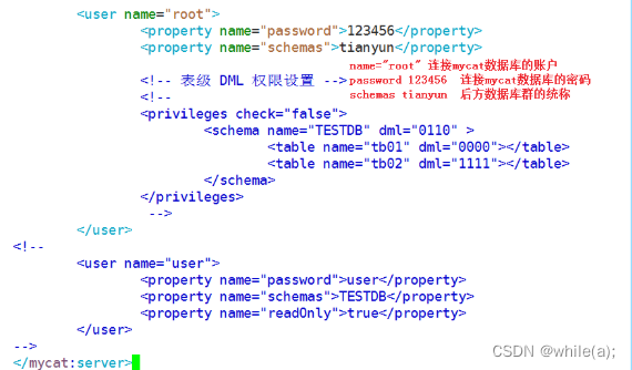 mysql数据库代理--mycat_mysql 代理-CSDN博客