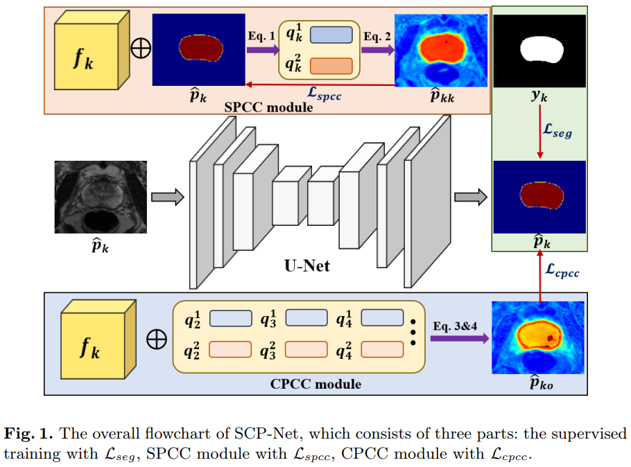【MICCAI2023】Self-aware and Cross-sample Prototypical Learning for Semi-supervised Medical Image ...