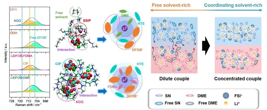 MS锂电池电解质课程又双叒叕扩容：Free Solvent自由溶剂分子占比_ms 电池电解质-CSDN博客