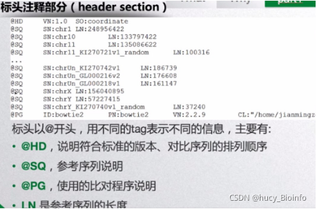NGS数据分析实践：03. 涉及的常用数据格式[2] - sam/bam格式_padded reference-CSDN博客