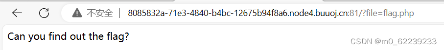 Buuctf-Web-[ACTF2020 新生赛]Include 题解&思路总结_buuctf include-CSDN博客