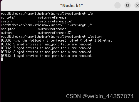 Mininet安装与广播网络实验教程-CSDN博客