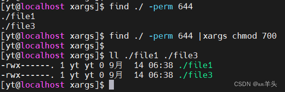 Linux命令_xargs & 批量杀进程、批量拷贝文件、组合字符串-CSDN博客
